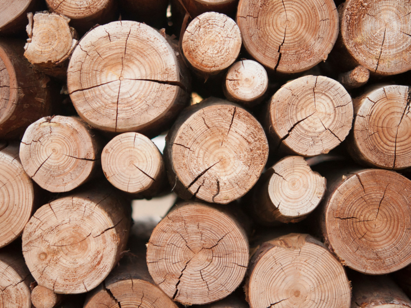 Logging and Timber | Douglas Timber Solutions | Dubuque, IA | Douglas ...